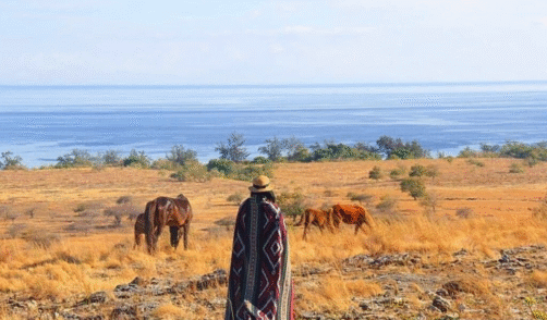Savana Puru Kambera En Indonésie : voyage sur mesure - Archipel 360